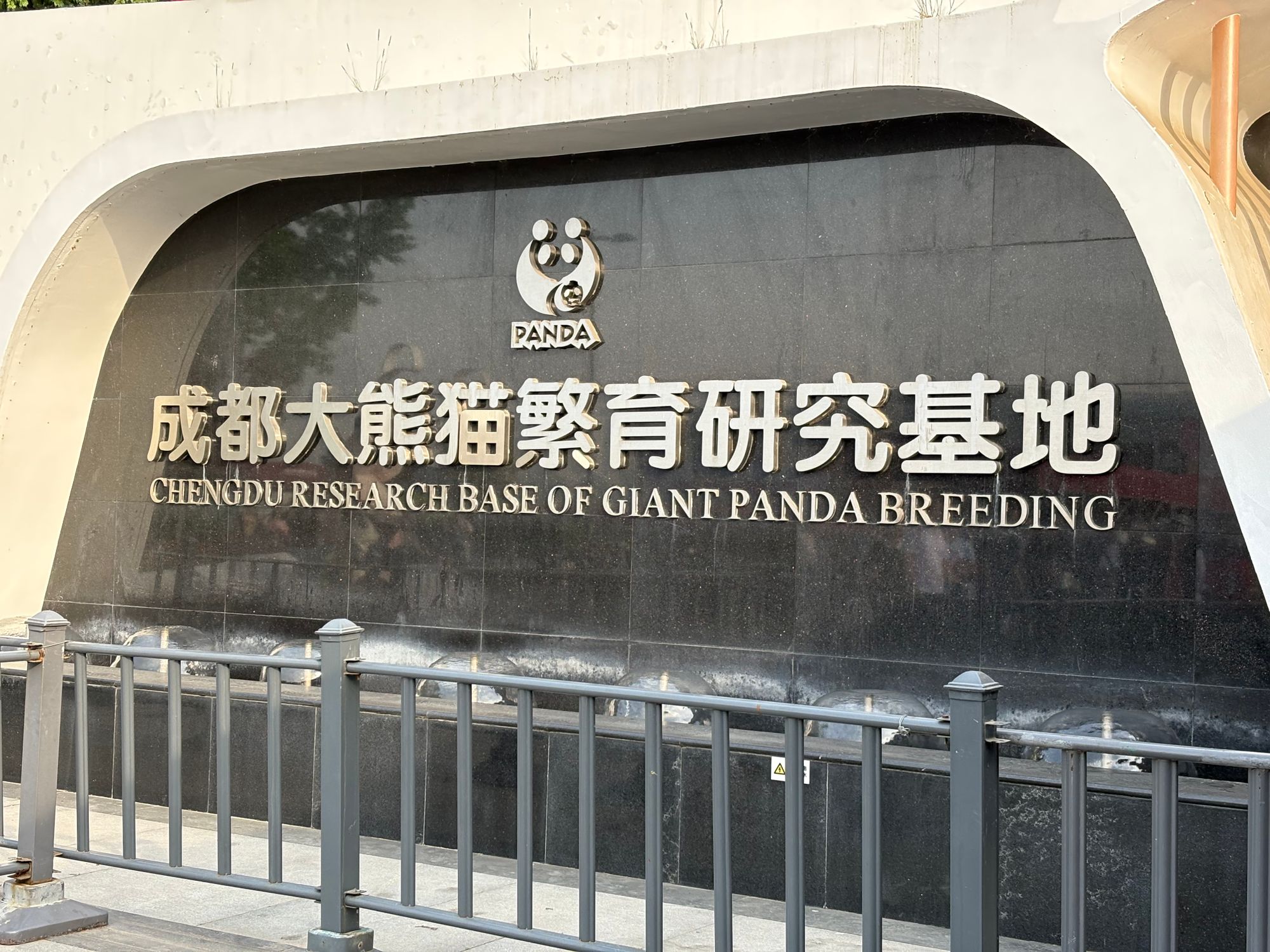 Sunday – Panda breeding centre